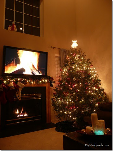 DIY Newlyweds: DIY Home Decorating Ideas & Projects: Christmas 2009 Review